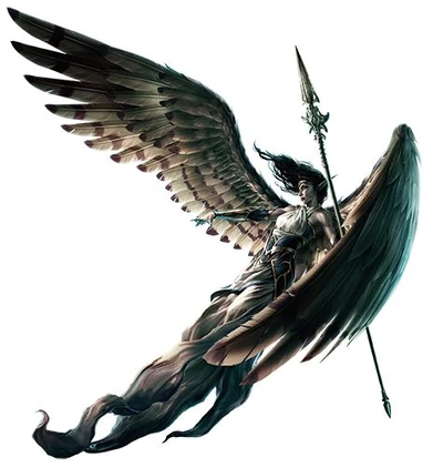 Elf | Eladriell's D&D Wiki | Fandom