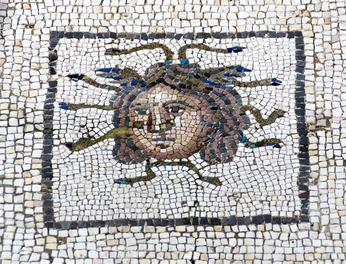 Tha'alani | Elantra Wiki | Fandom