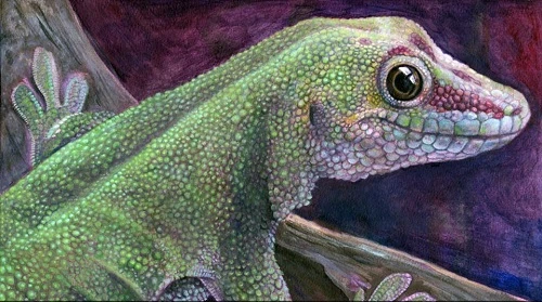 Riesengecko | Eldaria Wiki | Fandom