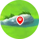 City of El | Eldarya Wiki | Fandom
