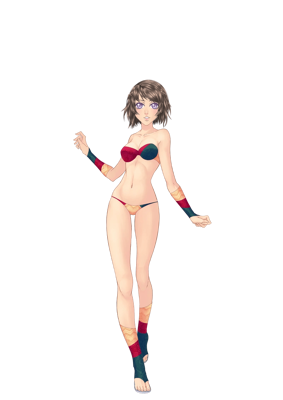 Patchwork | Eldarya Wiki | Fandom