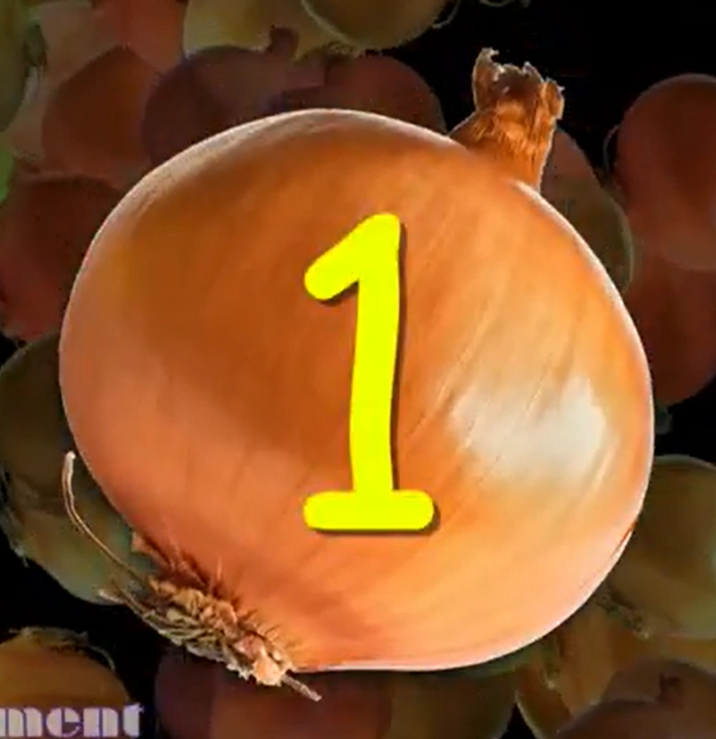 Onion | El Del Taco/Seven Gang Wiki | Fandom