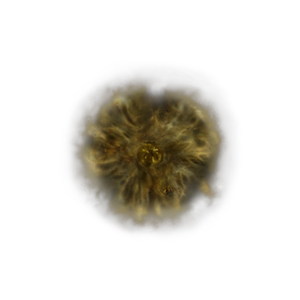 Golden Rune [11] | Elden Ring Wiki | Fandom