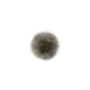 Golden Runes | Elden Ring Wiki | Fandom