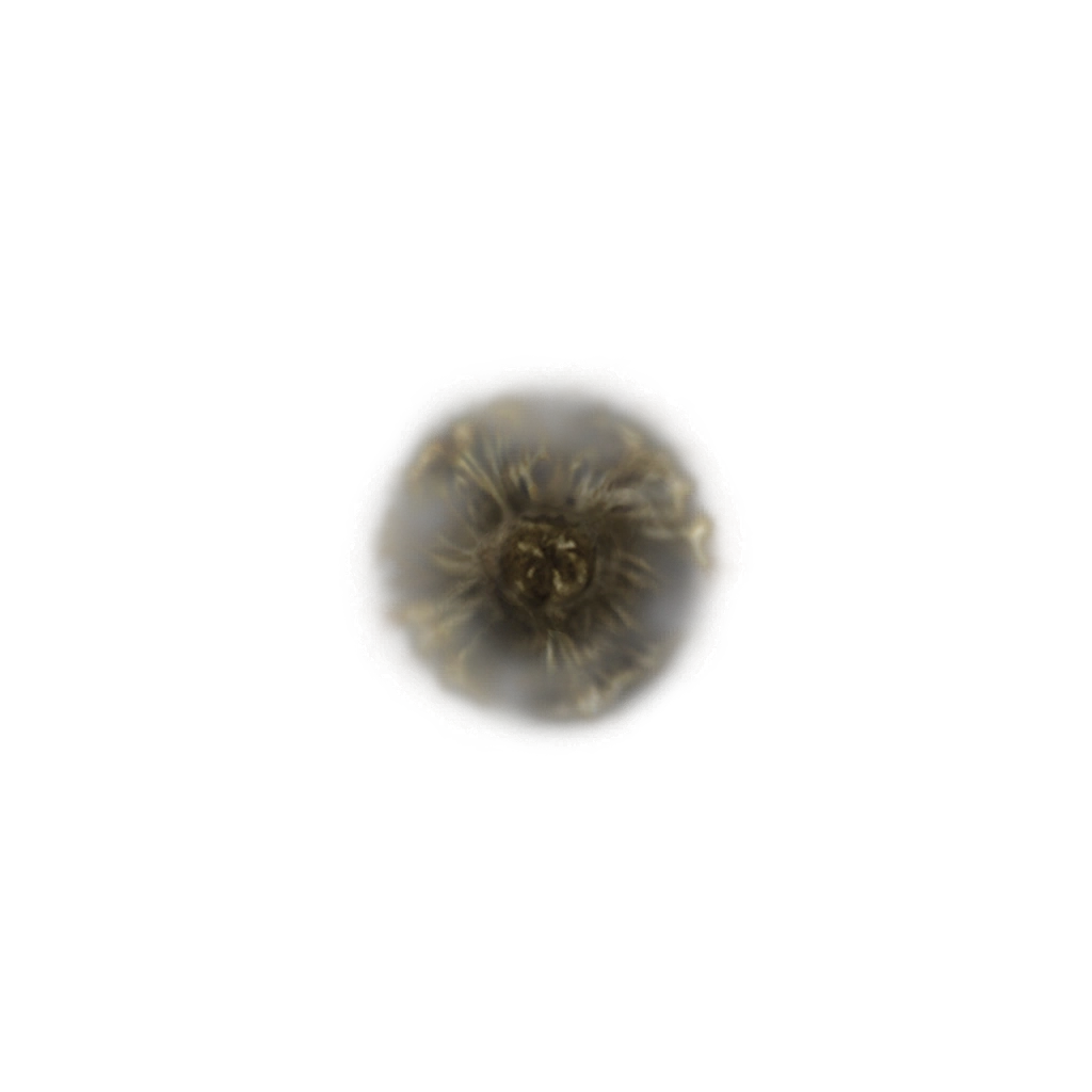 Golden Rune [3] | Elden Ring Wiki | Fandom