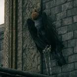 Warhawk | Elden Ring Wiki | Fandom