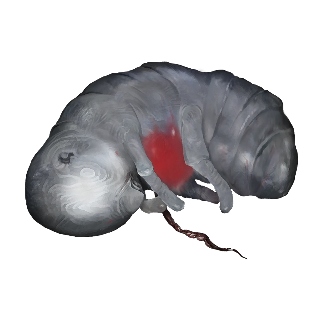 Asimi, Silver Tear (item) | Elden Ring Wiki | Fandom