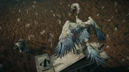 Gravebird | Elden Ring Wiki | Fandom