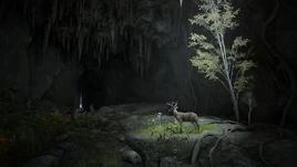 Dragonbarrow Cave | Elden Ring Wiki | Fandom