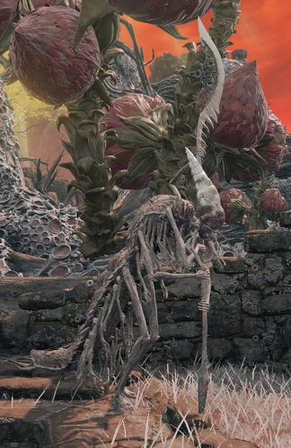 Kindred of Rot | Elden Ring Wiki | Fandom