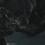 Gnoster, Wisdom of Night | Elden Ring Wiki | Fandom