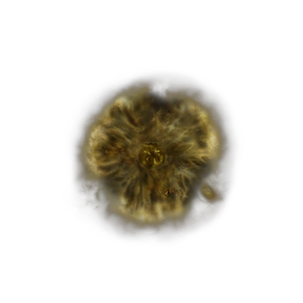 Golden Rune [12] | Elden Ring Wiki | Fandom