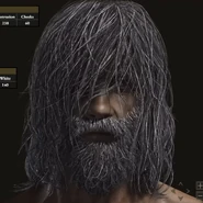 Shabriri | Elden Ring Wiki | Fandom