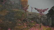 Gallery:Queen Marika the Eternal | Elden Ring Wiki | Fandom