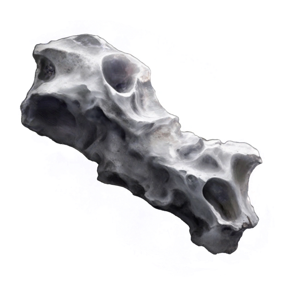 Bone-Like Stone (key item) | Elden Ring Wiki | Fandom