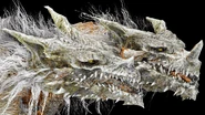Dragonlord Placidusax | Elden Ring Wiki | Fandom