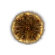 Golden Runes | Elden Ring Wiki | Fandom