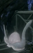 Spiritcaller Snail | Elden Ring Wiki | Fandom