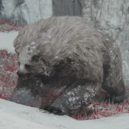 Runebear | Elden Ring Wiki | Fandom