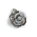 Tools | Elden Ring Wiki | Fandom