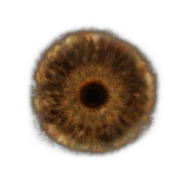 Golden Runes | Elden Ring Wiki | Fandom