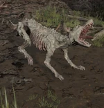 Stray | Elden Ring Wiki | Fandom