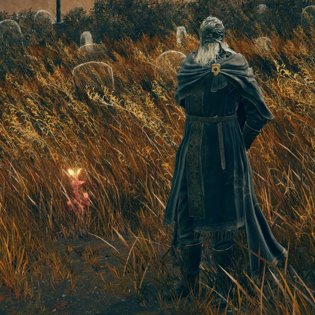 Sir Ansbach | Wiki Elden Ring | Fandom