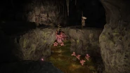 Poison | Elden Ring Wiki | Fandom