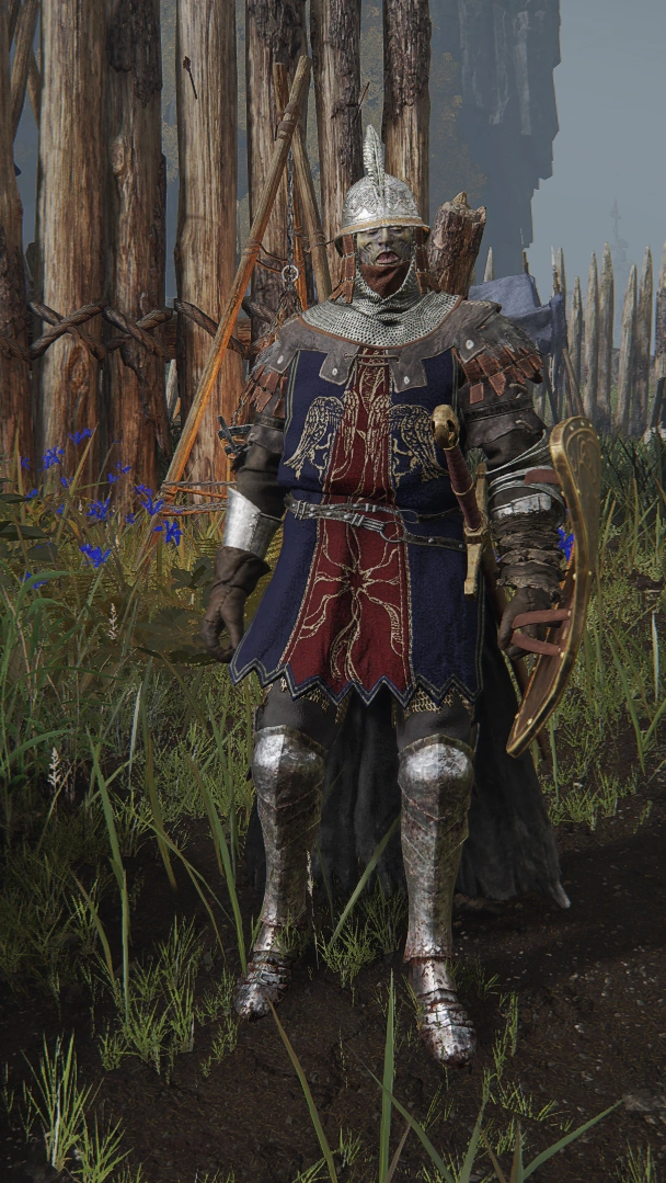 Raya Lucaria Soldier | Elden Ring Wiki | Fandom