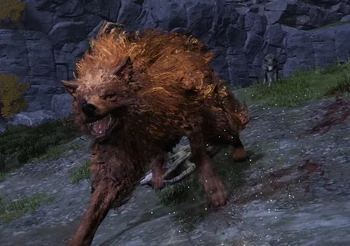 Red Wolf of Radagon | Elden Ring Wiki | Fandom