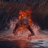 Stray | Elden Ring Wiki | Fandom