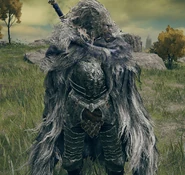 Blaidd the Half-Wolf | Elden Ring Wiki | Fandom