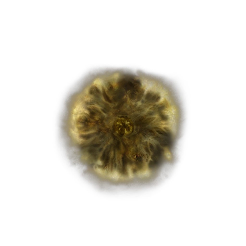 Golden Rune [13] | Elden Ring Wiki | Fandom