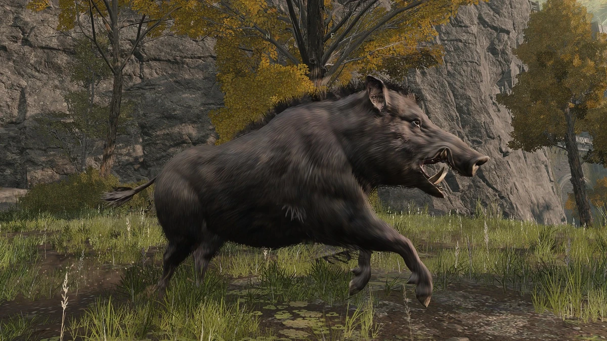 Boar | Elden Ring Wiki | Fandom