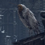 Warhawk | Elden Ring Wiki | Fandom