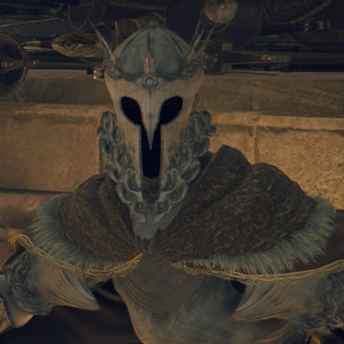 Category:Tarnished | Elden Ring Wiki | Fandom