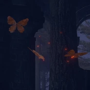 Black Pyrefly | Elden Ring Wiki | Fandom