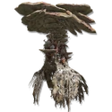 Head | Elden Ring Wiki | Fandom