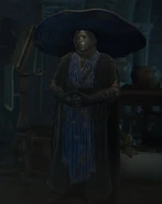 Preceptor Seluvis | Elden Ring Wiki | Fandom