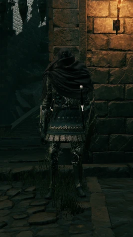 Exile Soldier | Elden Ring Wiki | Fandom