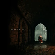 The Tarnished (Protagonist) | Elden Ring Wiki | Fandom