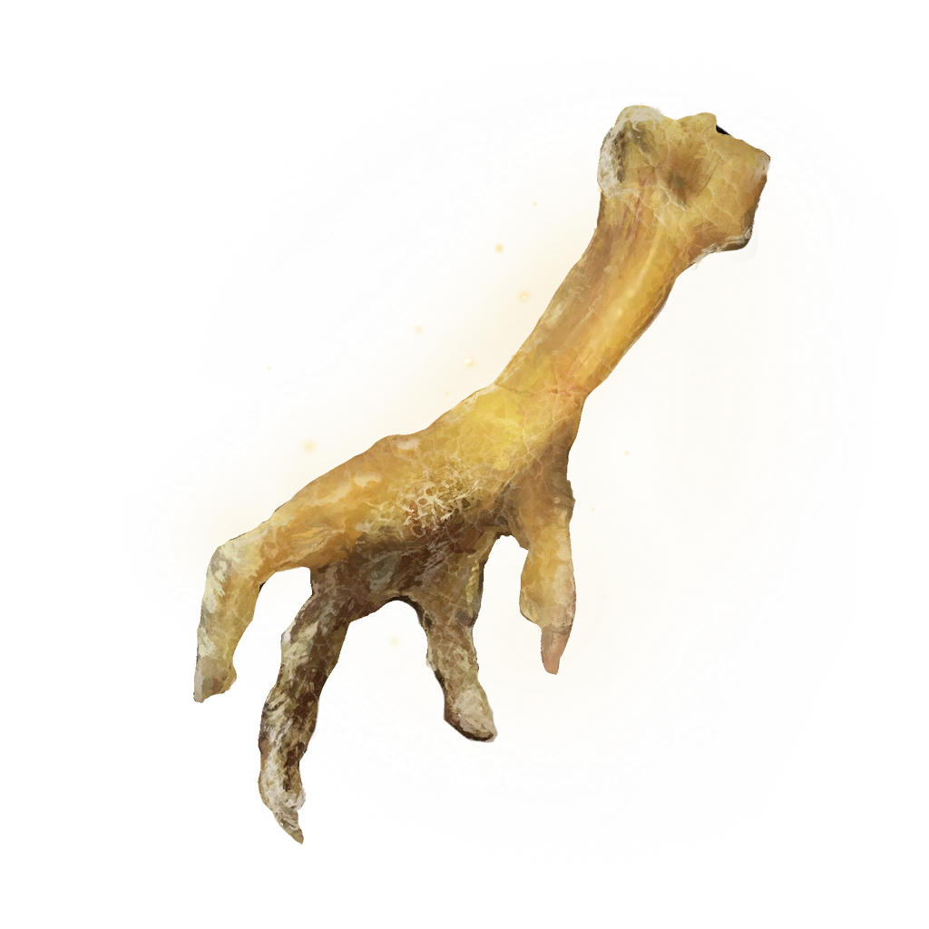 Gold-Pickled Fowl Foot | Elden Ring Wiki | Fandom