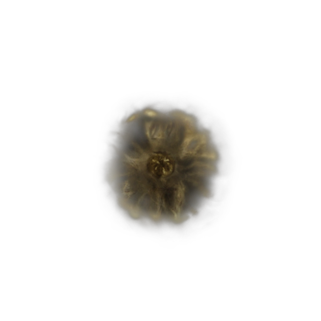 Golden Rune [6] | Elden Ring Wiki | Fandom