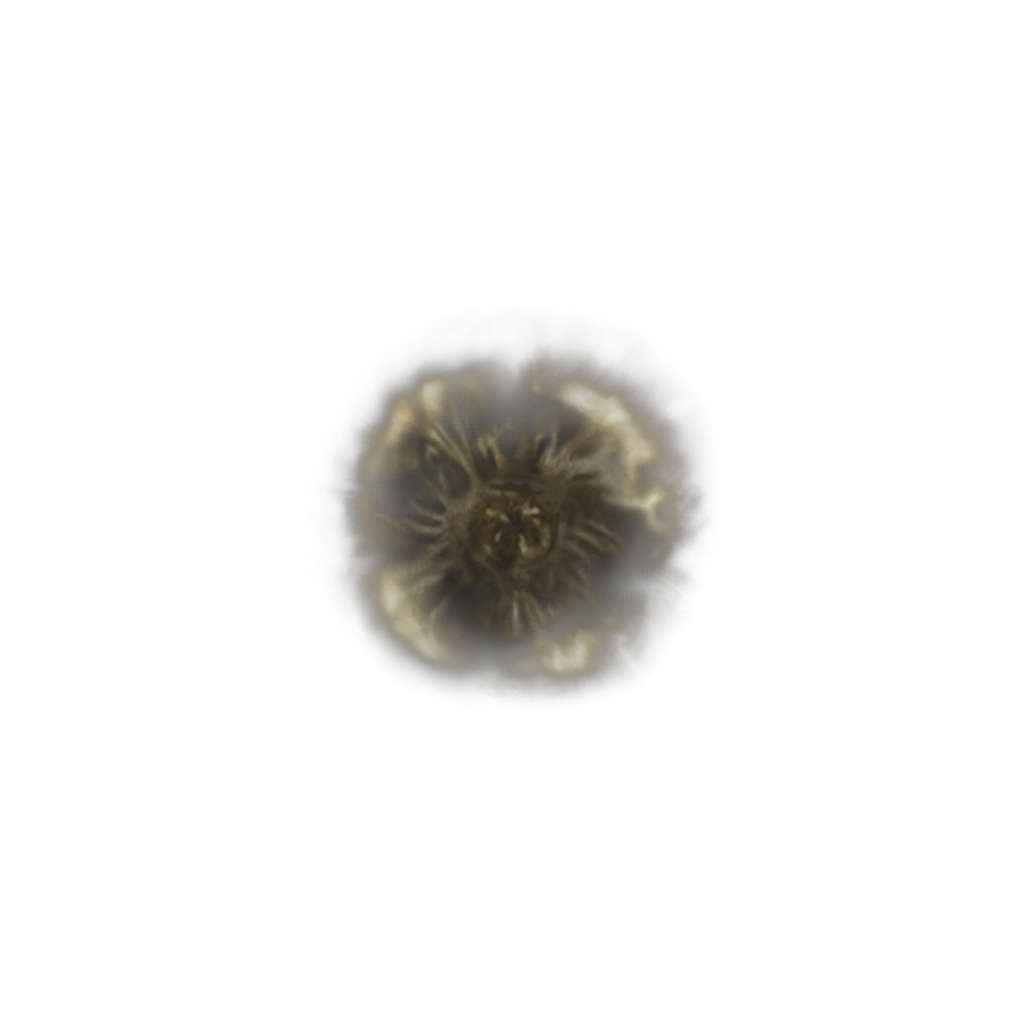 Golden Rune [5] | Elden Ring Wiki | Fandom