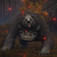 Runebear | Elden Ring Wiki | Fandom