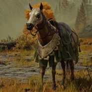 Steed | Elden Ring Wiki | Fandom
