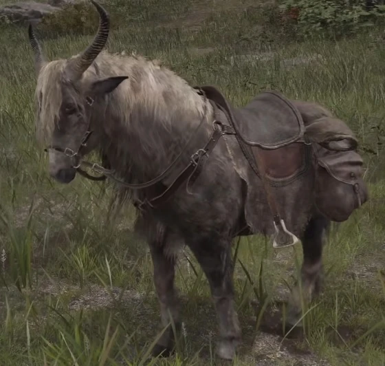 Torrentera | Wiki Elden Ring | Fandom