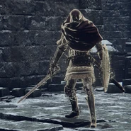Exile Soldier | Elden Ring Wiki | Fandom