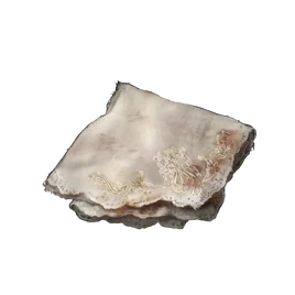 Irina's Letter | Elden Ring Wiki | Fandom