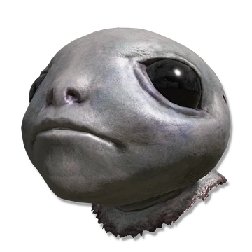 silver mask elden ring